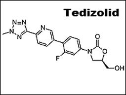 Ostre zakażenia skóry i tkanek: FDA zaaprobowała nowy antybiotyk ...