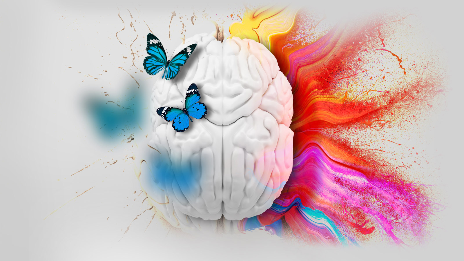 Psychiatria w Pytaniach i Odpowiedziach - Program szczegółowy | – Termedia